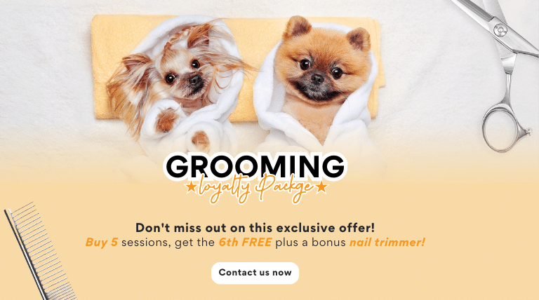 IN STORE GROOMING APPOINTMENT – Kanu Pet