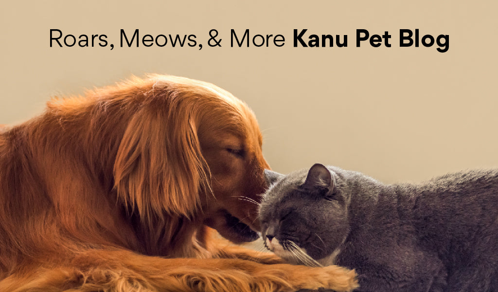 KANU PET BLOG ESPAÑOL – Kanu Pet